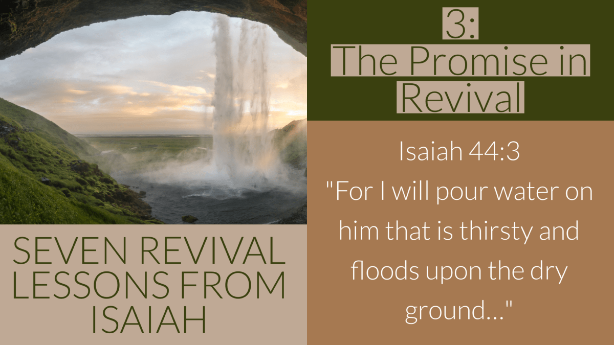 THE PROMISE OF REVIVAL; Revival Lessons from Isaiah (3) – Clogher ...